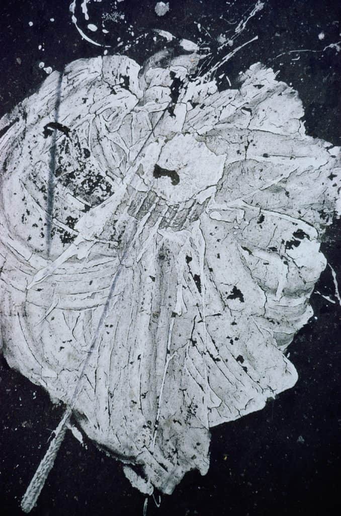 Color Abstract | Ernst Haas