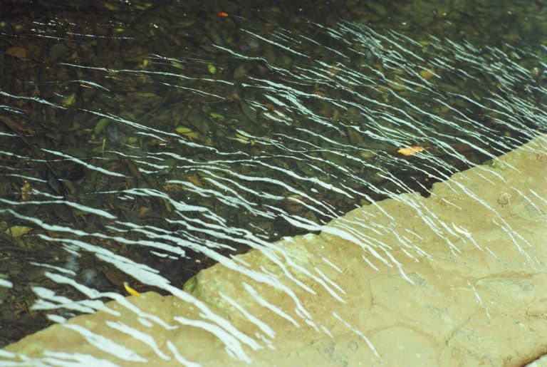 Color Abstract | Ernst Haas