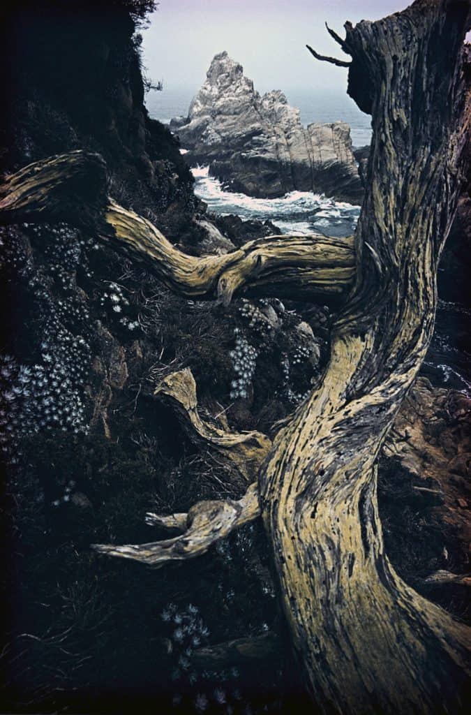 Color America | Ernst Haas