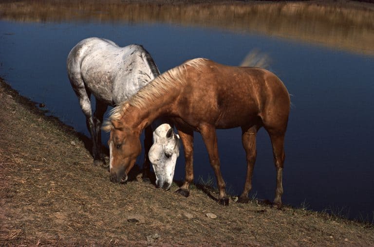 Color America | Ernst Haas