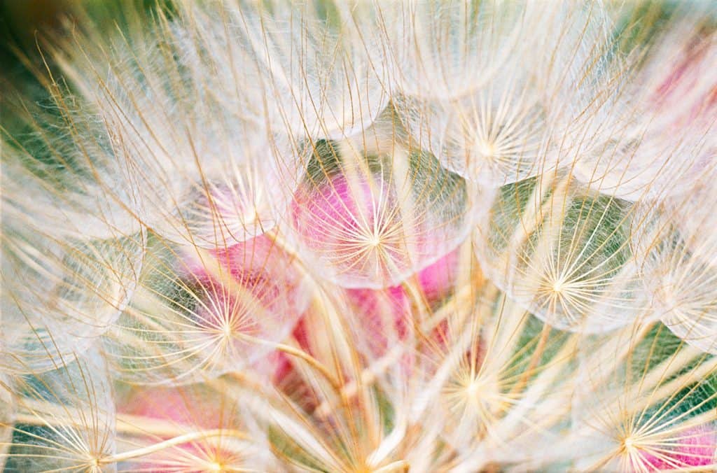 Classic Color Creation | Ernst Haas