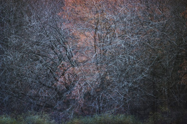 Color Creation2 | Ernst Haas