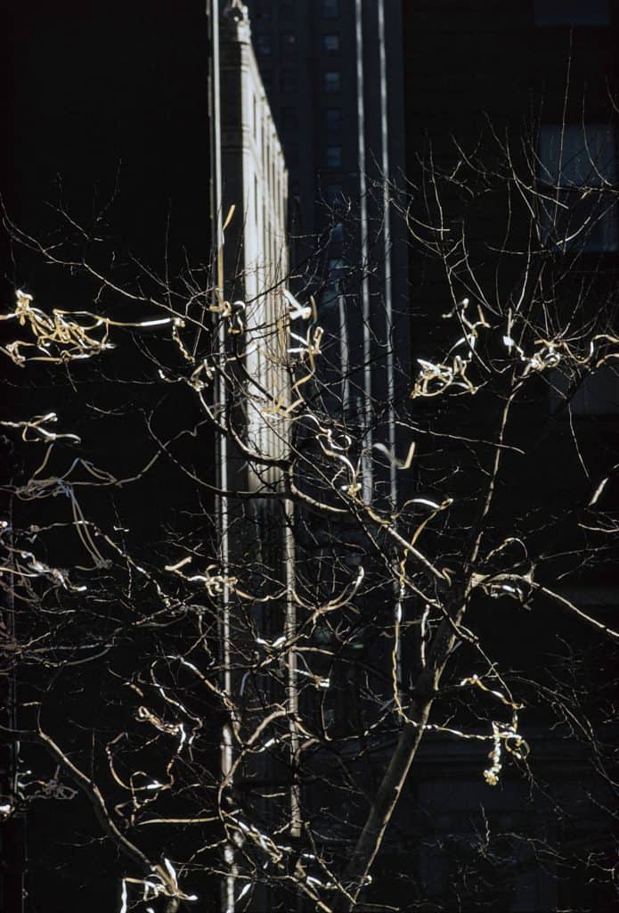 Color New York | Ernst Haas